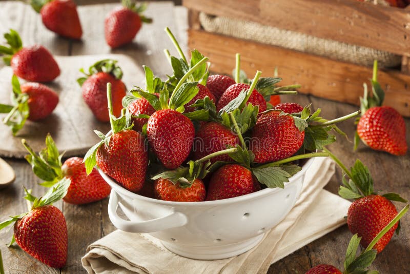 Raw Organic Long Stem Strawberries Stock Image - Image of green, ripe ...