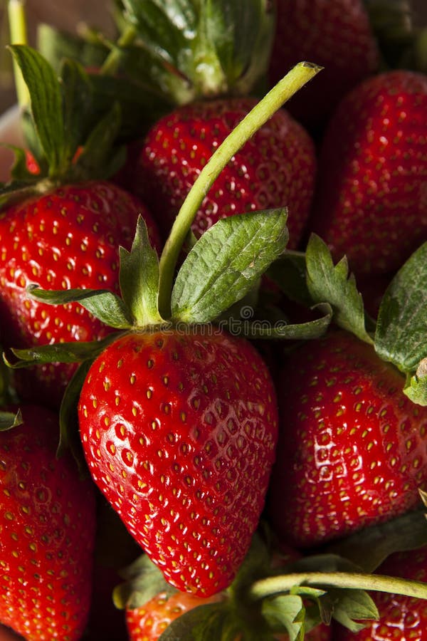 Long Stem Strawberries Stock Photos - Free & Royalty-Free Stock Photos ...