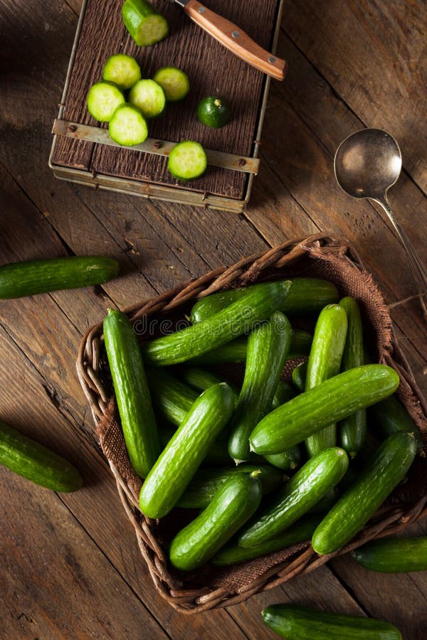 Raw Organic Mini Baby Cucumbers Stock Image - Image of appetizing ...