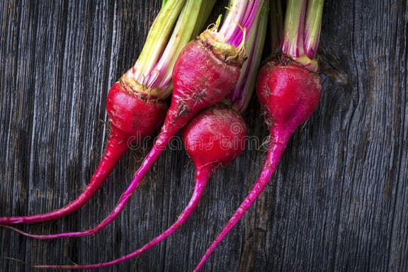 Raw Organic Miniature Red Candy Stripe Beets Stock Image - Image of ...