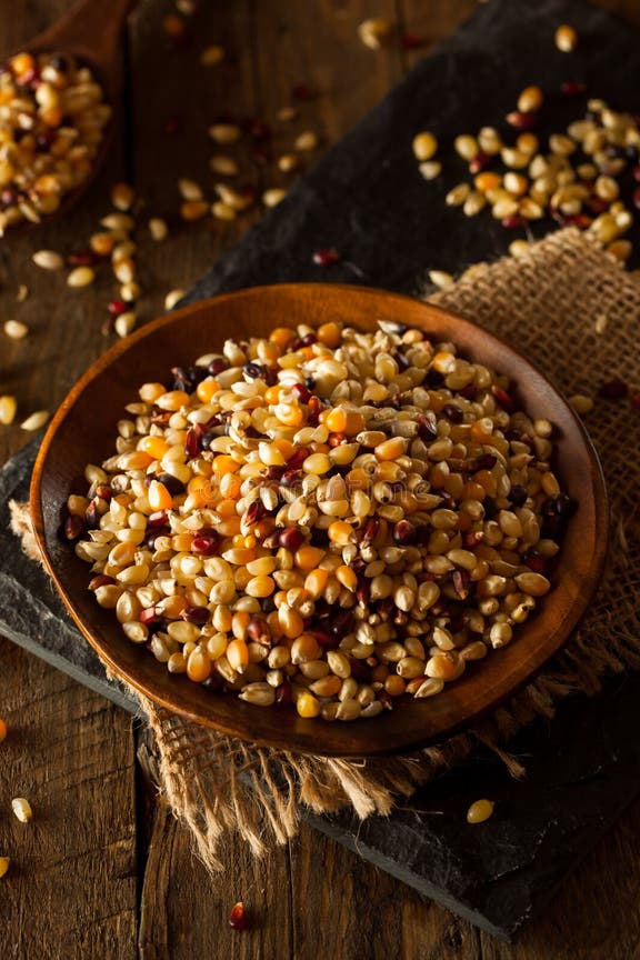 Raw Organic Multi Colored Calico Popcorn Stock Photo - Image of ...