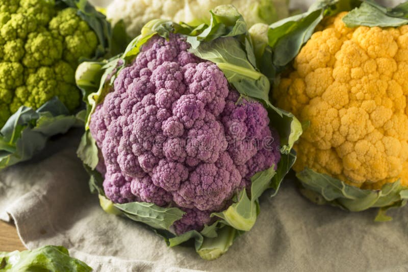 Raw Organic Multi Colored Cauliflower Stock Photo - Image of ...