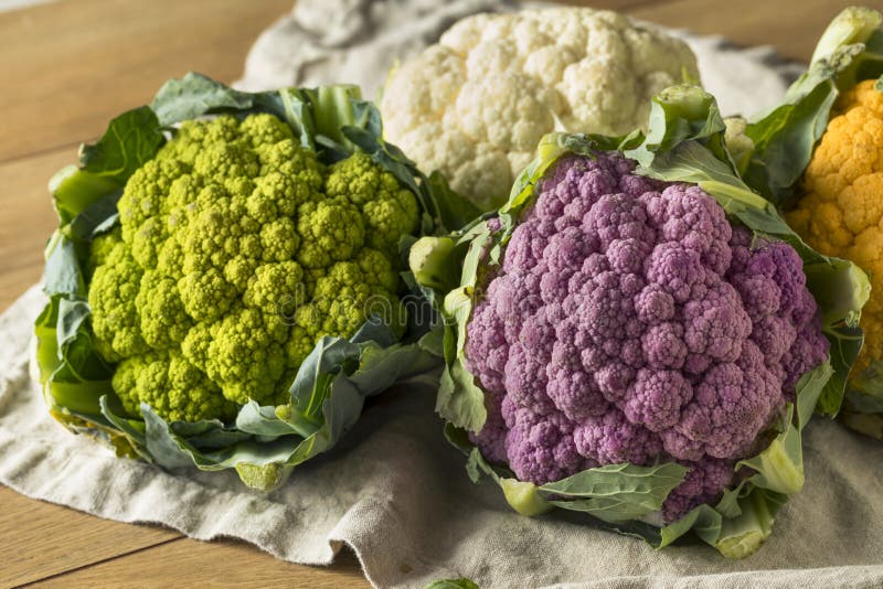 Raw Organic Multi Colored Cauliflower Stock Photo - Image of head ...