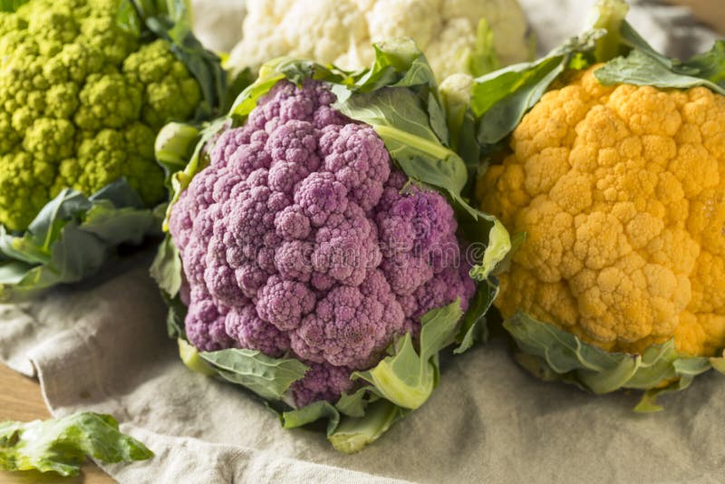 Raw Organic Multi Colored Cauliflower Stock Image - Image of healthy ...