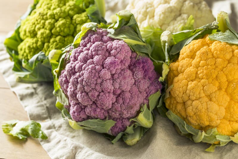Raw Organic Multi Colored Cauliflower Stock Photo - Image of healthy ...