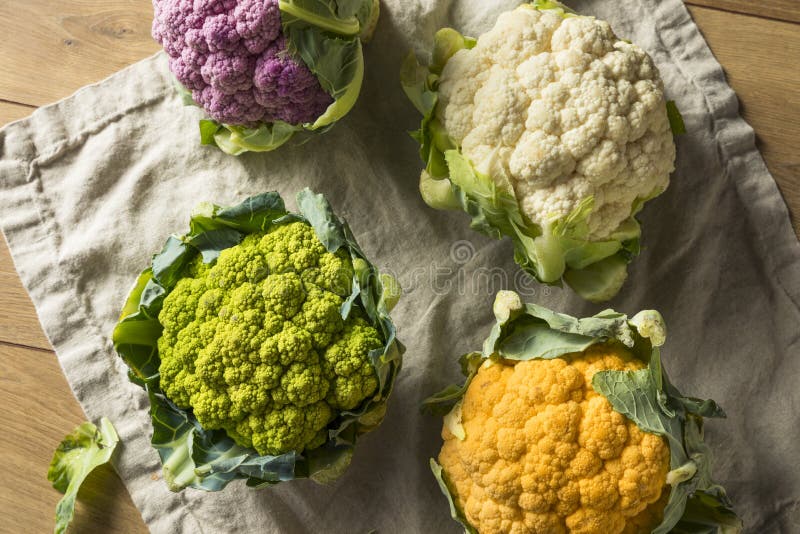 Raw Organic Multi Colored Cauliflower Stock Photo - Image of background ...