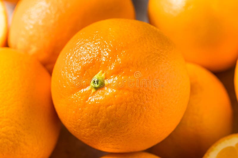 Raw Organic Orange Citrus Fruit Stock Image - Image of nature, ripe ...