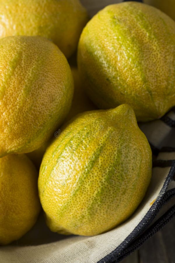 Raw Organic Pink Lemons stock image. Image of nutrition - 85850541