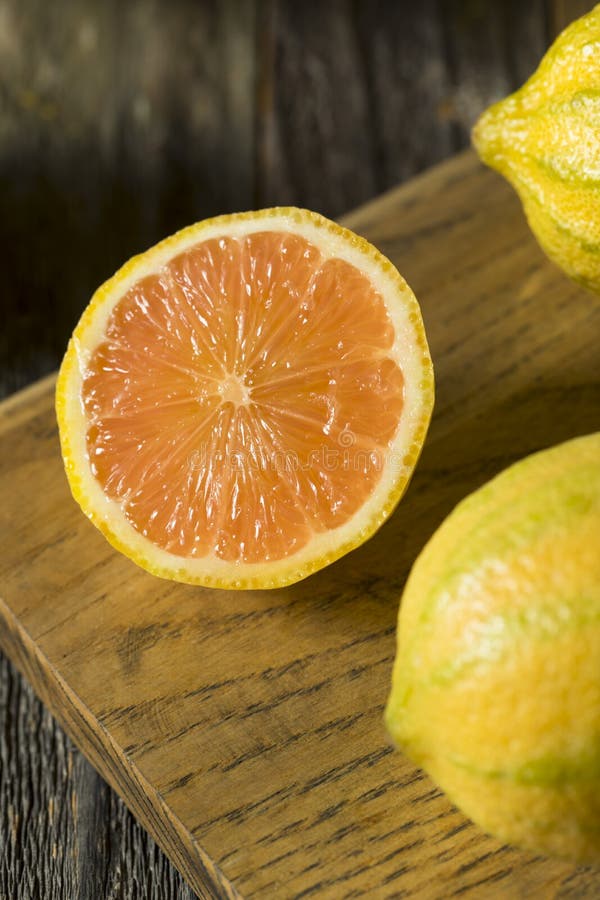 Pink Lemons or Variegated Eureka Lemons Isolated on White Background ...