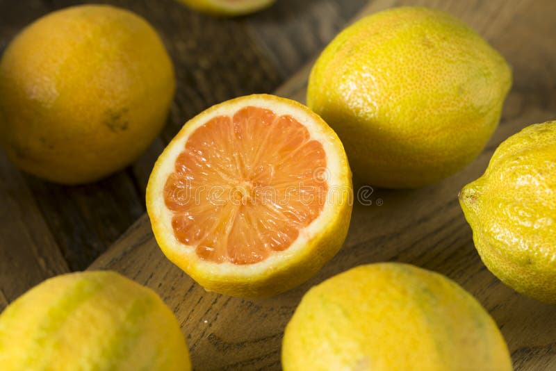 Raw Organic Pink Lemons stock photo. Image of pink, refreshing - 85850680