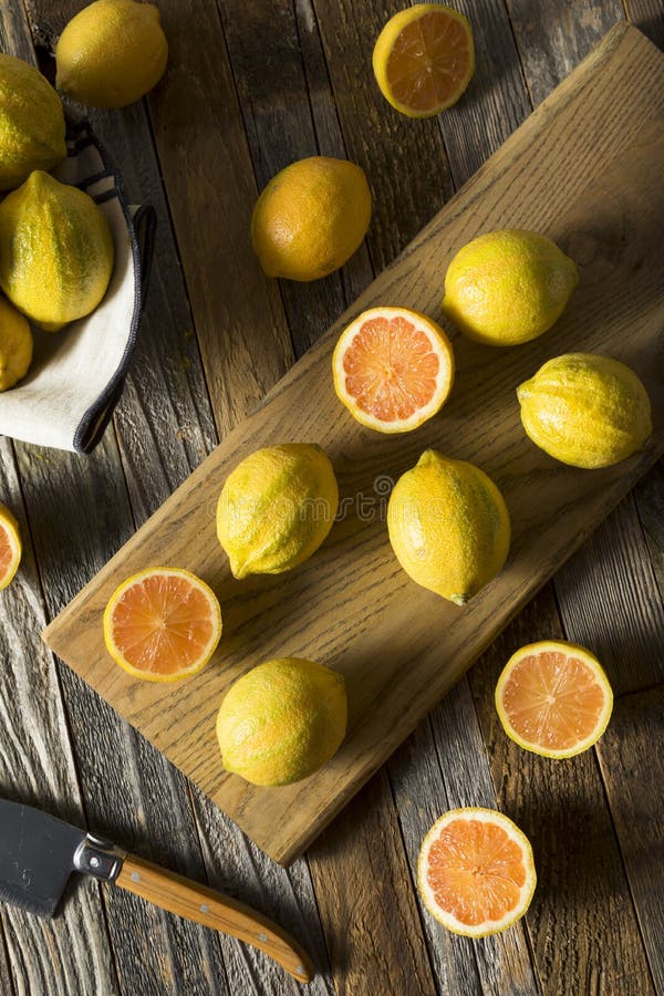 Raw Organic Pink Lemons stock image. Image of summer - 85850729