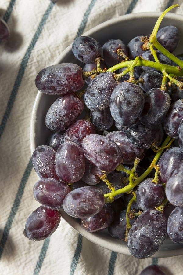 Raw Organic Purple Grapes stock image. Image of berry - 123491501