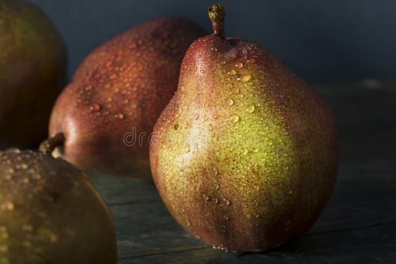 Raw Organic Red Anjou Pears Stock Image - Image of anjou, food: 80142957