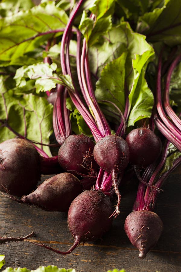 20,902 Red Beets Stock Photos - Free & Royalty-Free Stock Photos from ...