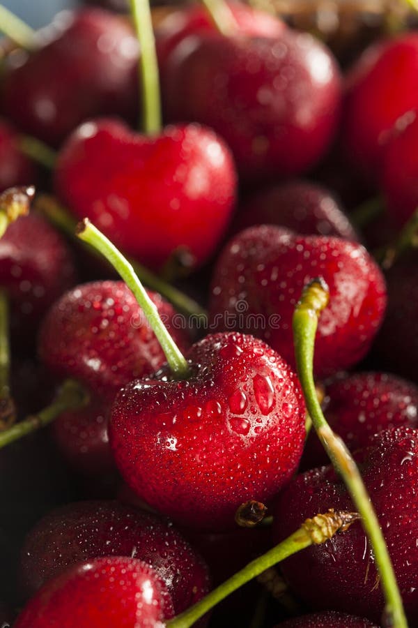 Raw Organic Red Cherries stock image. Image of ripe, juicy - 40839349