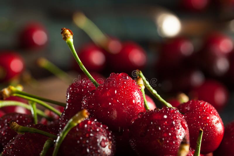Raw Organic Red Cherries stock image. Image of diet, stem - 55351037