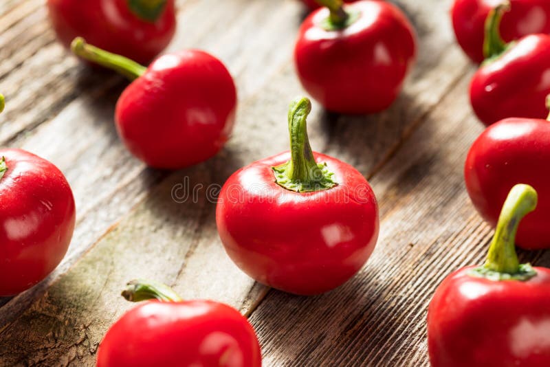 Raw Organic Red Cherry Bomb Peppers Stock Photo - Image of ingredient ...