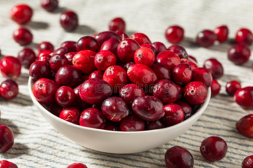 Raw Organic Red Cranberries Stock Photo - Image of vitamin, fruit ...