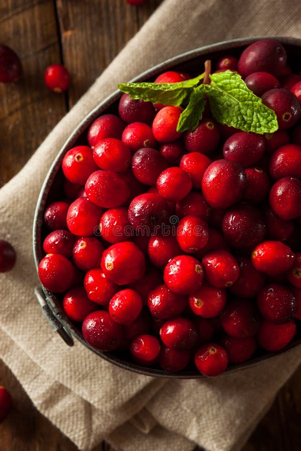 Raw Organic Red Cranberries Stock Image - Image of heap, antioxidant ...