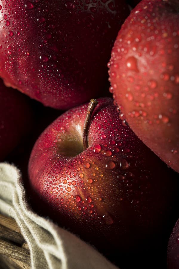Raw Organic Red Delicious Apples Stock Photo - Image of ingredient ...