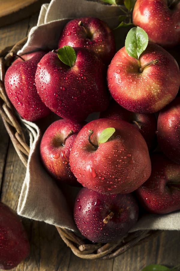 Raw Organic Red Delicious Apples Stock Photo - Image of diet, food ...