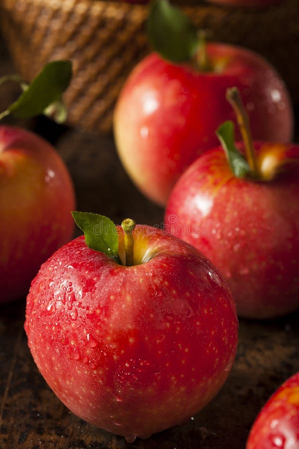 Raw Organic Red Gala Apples Stock Photo - Image of sweet, delicious ...