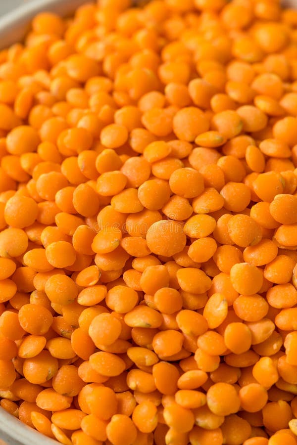 Raw Organic Red Lentils Legume Stock Photo - Image of natural, lentil ...