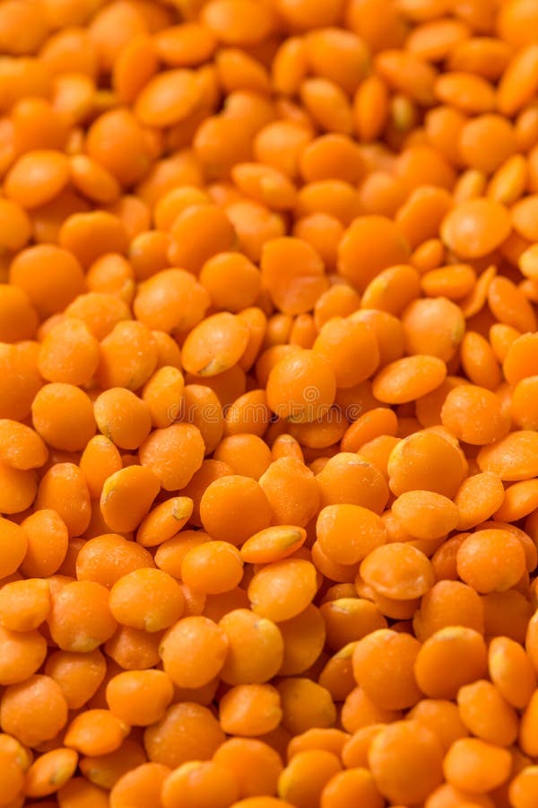 Raw Organic Red Lentils Legume Stock Image - Image of vegan, natural ...
