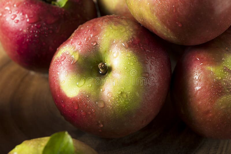Raw Organic Red Mcintosh Apples Stock Photo - Image of freshness, food ...