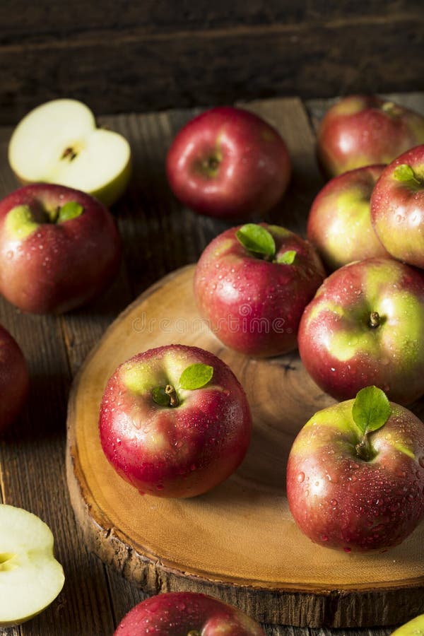 Raw Organic Red Mcintosh Apples Stock Image - Image of health, orchard ...