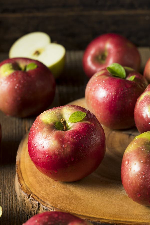 Raw Organic Red Mcintosh Apples Stock Image - Image of eating, natural ...