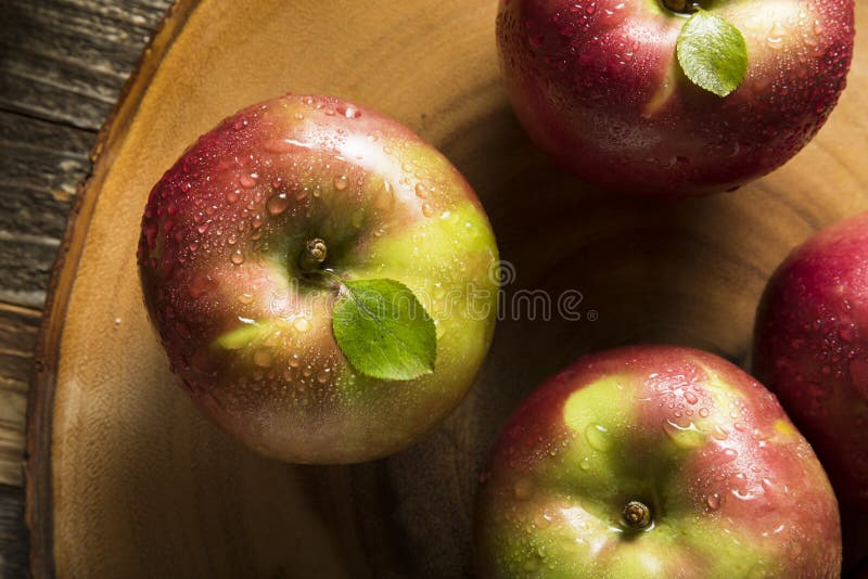 Raw Organic Red Mcintosh Apples Stock Image - Image of orchard ...