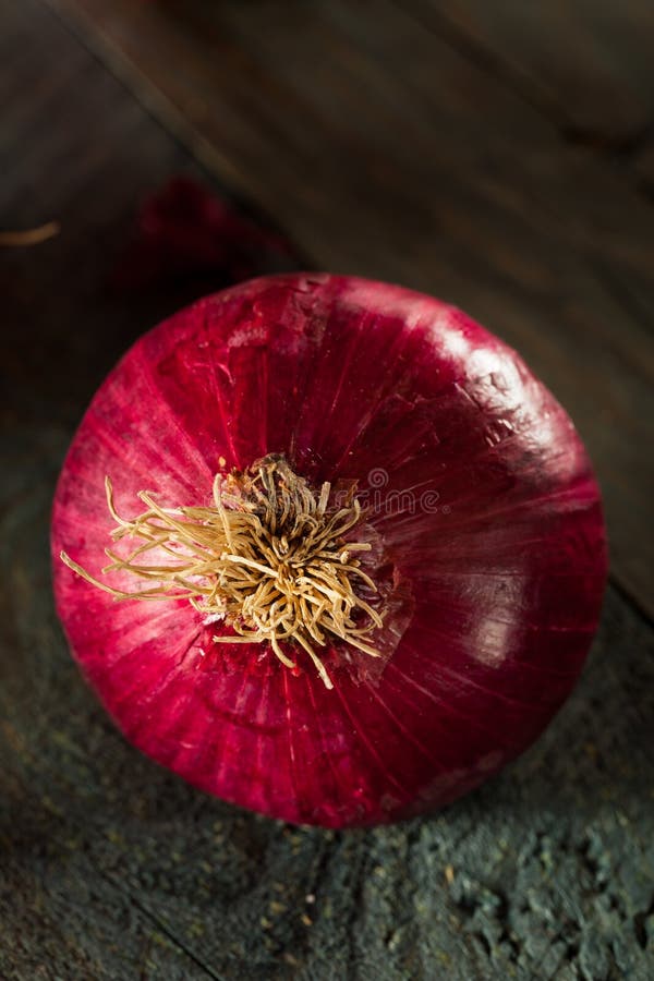 Raw Organic Red Onions stock image. Image of onion, sliced - 55618421