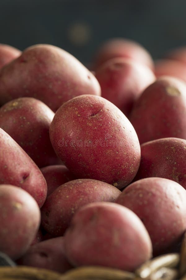 Raw Organic Red Potatoes stock image. Image of food, group - 77748437
