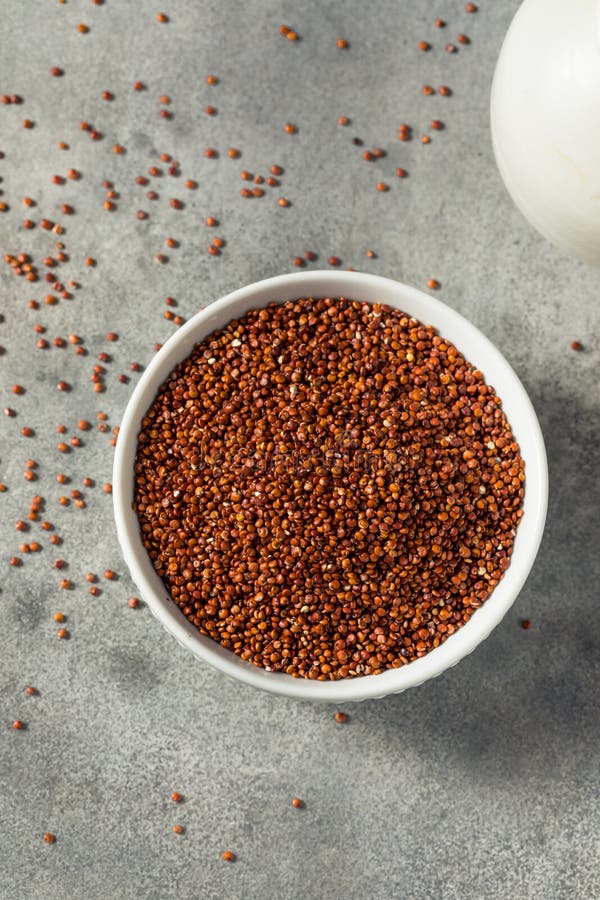Raw Organic Red Quinoa Seed Stock Photo - Image of diet, grain: 255976860