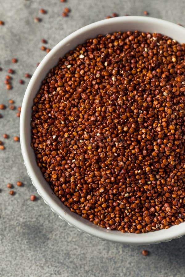 Raw Organic Red Quinoa Seed Stock Photo - Image of diet, vegan: 255976868