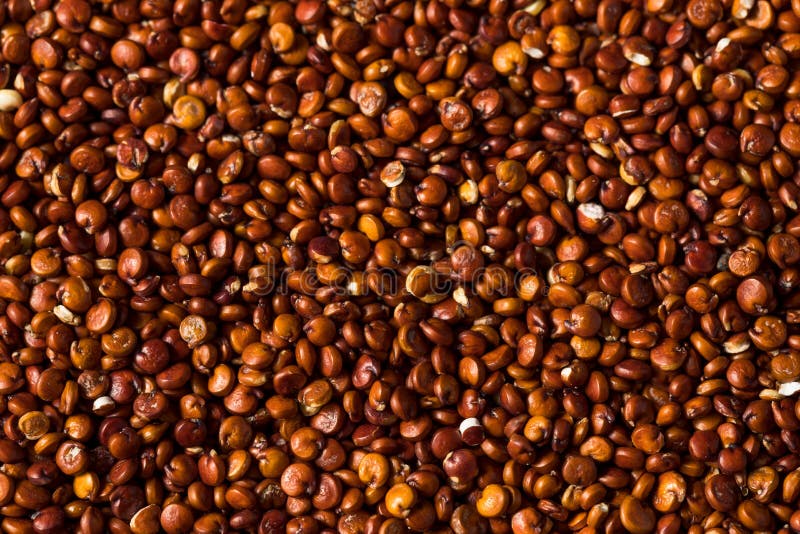 Raw Organic Red Quinoa Seed Stock Image - Image of dietary, protein ...