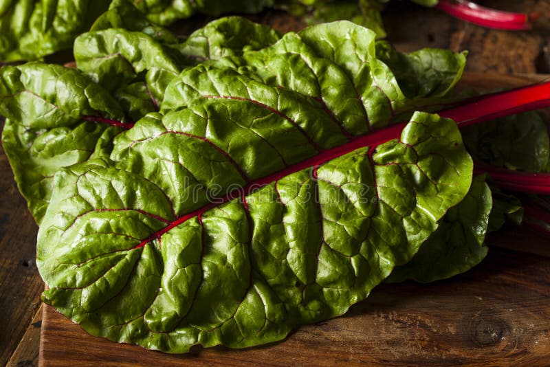Raw Organic Red Swiss Chard Stock Photo - Image of greens, nature: 43641116