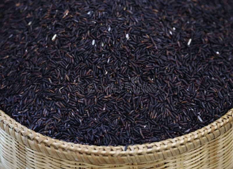 Raw organic rice stock image. Image of basmati, dried - 69708671