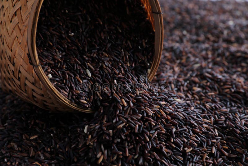 Raw Organic Riceberry Rice in Close Up Stock Photo - Image of cuisine ...