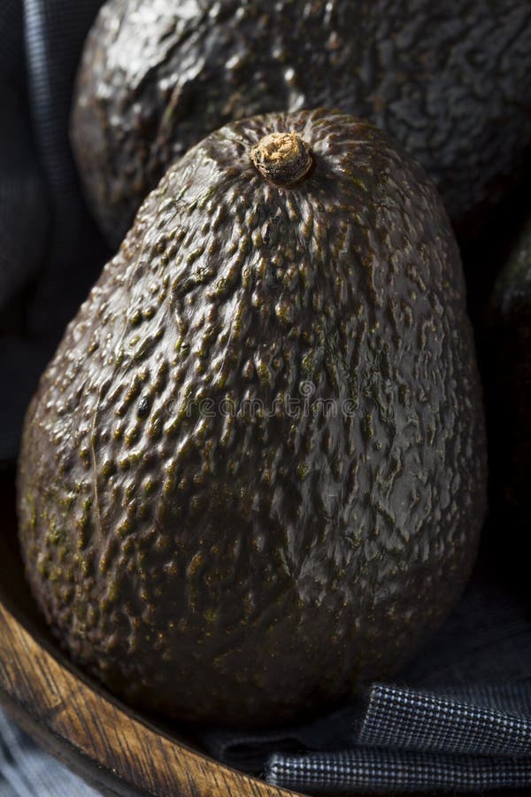Raw Organic Ripe Avocados stock image. Image of freshness - 90304687