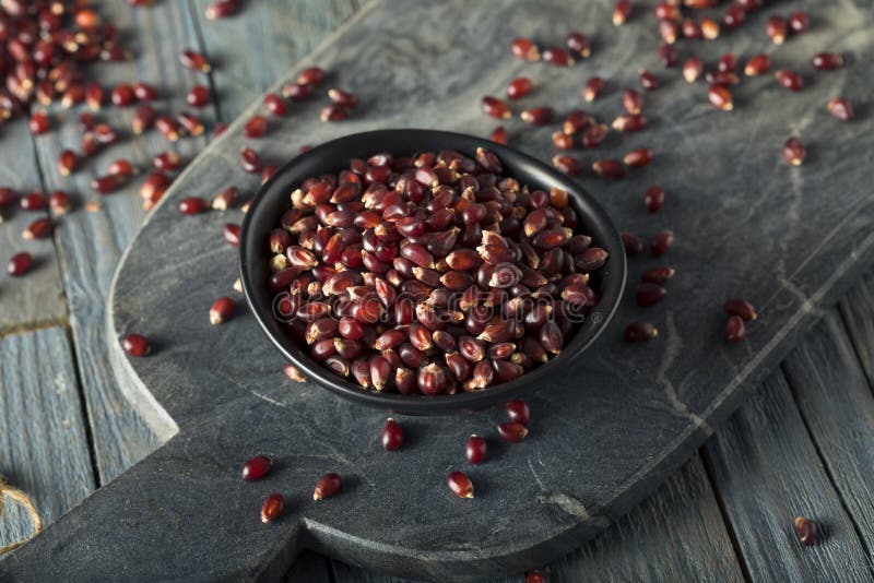 Raw Organic Ruby Red Pop Corn Stock Image - Image of decorative, maroon ...