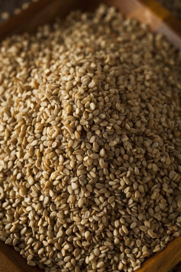 Raw Organic Sesame Seeds stock image. Image of healthy - 51087341