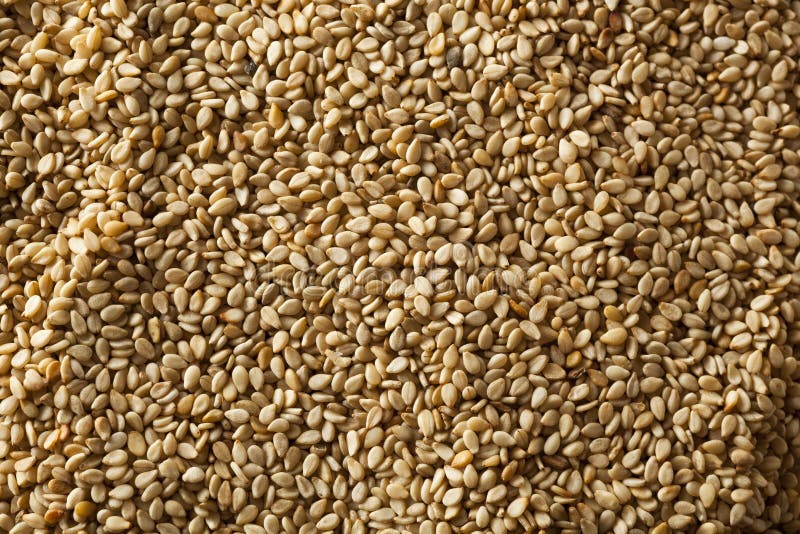 Raw Organic Sesame Seeds stock image. Image of organic - 51088029