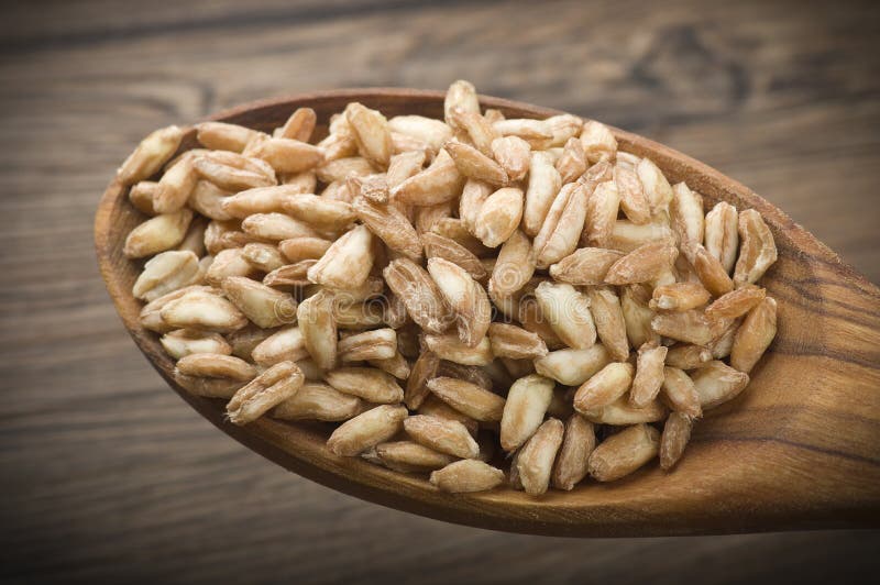 Raw Organic Spelt Grain stock photo. Image of corn, seed - 84593866