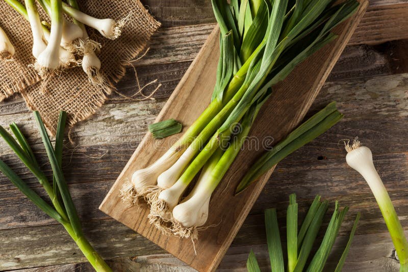 Raw Organic Spring Garlic stock photo. Image of nutrition - 72674110