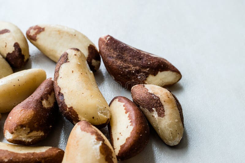 Brazil nut in shell stock image. Image of healthy, bowl - 35031589