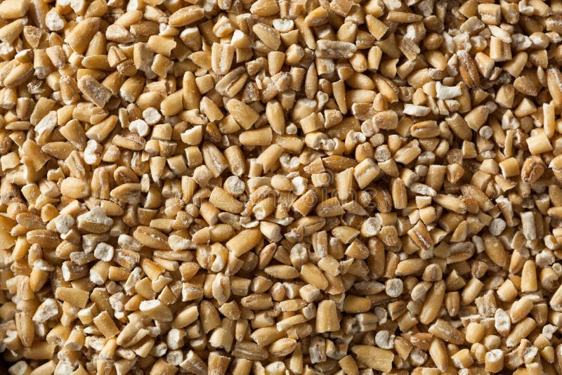 Raw Organic Steel Cut Oats stock photo. Image of nutrition - 52491330