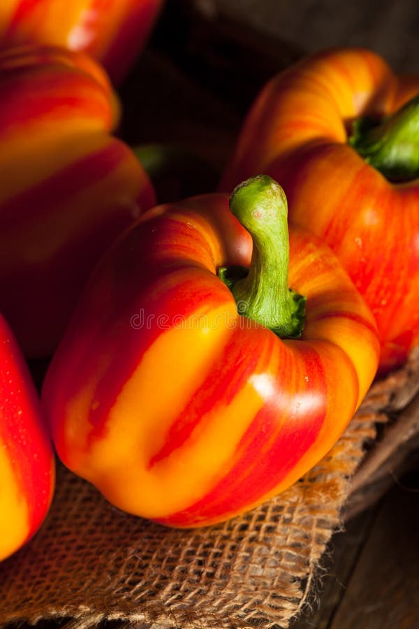 Raw Organic Striped Red Bell Pepper Stock Image - Image of stack ...