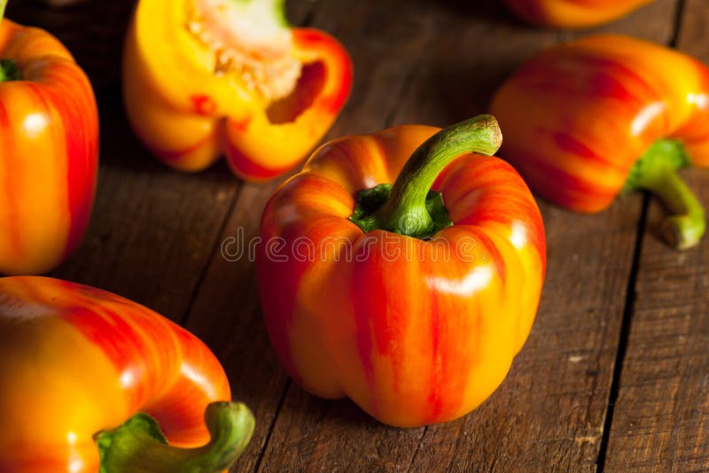 Raw Organic Striped Red Bell Pepper Stock Photo - Image of nature ...